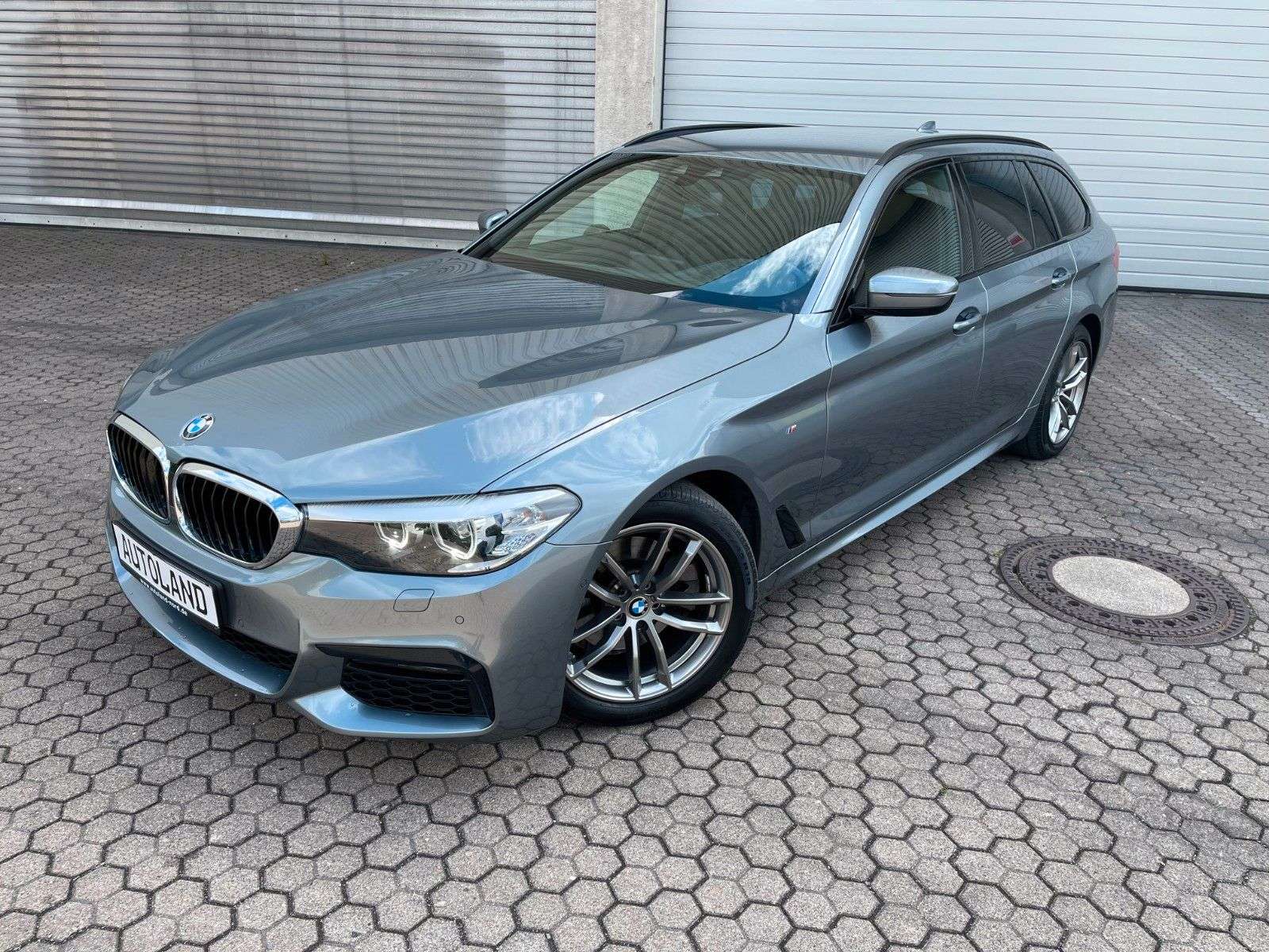 Coche BMW 520d Diésel 2020 - 30158