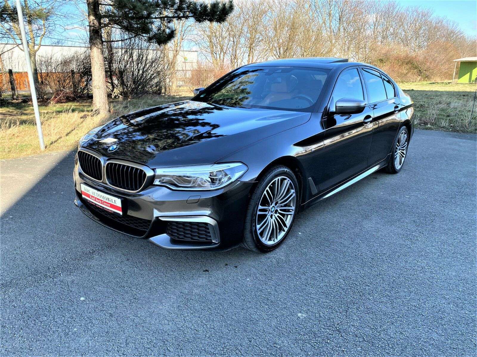 Coche BMW 550d Diésel 2018 - 31249