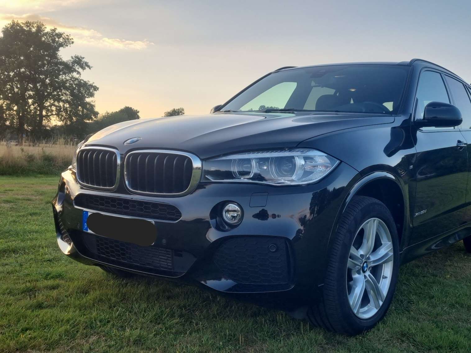 Coche BMW X5 Diésel 2018 - 33753
