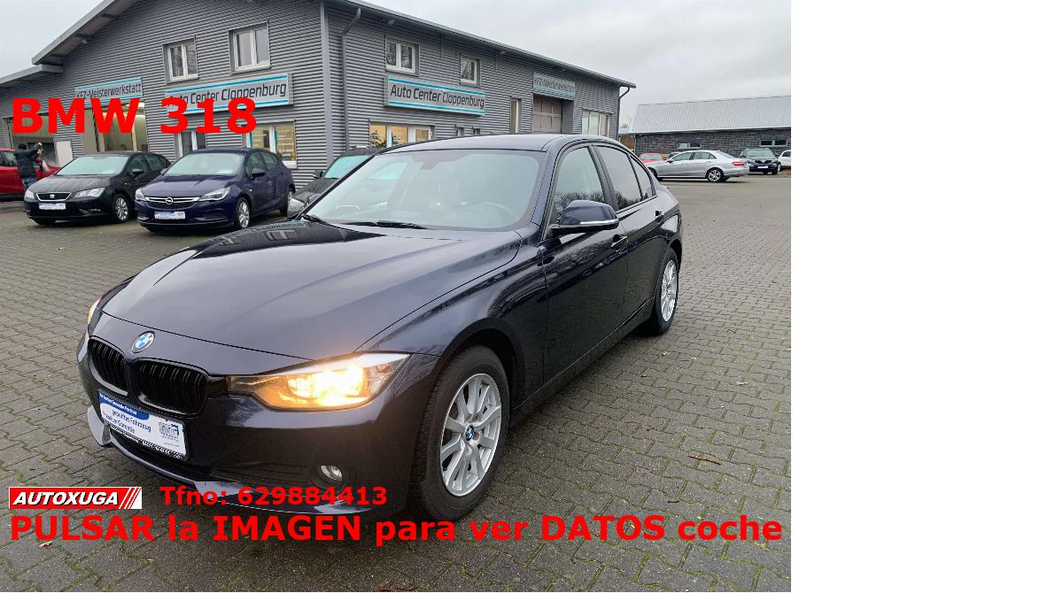 Coche BMW 318d Diésel 2013 - 42543