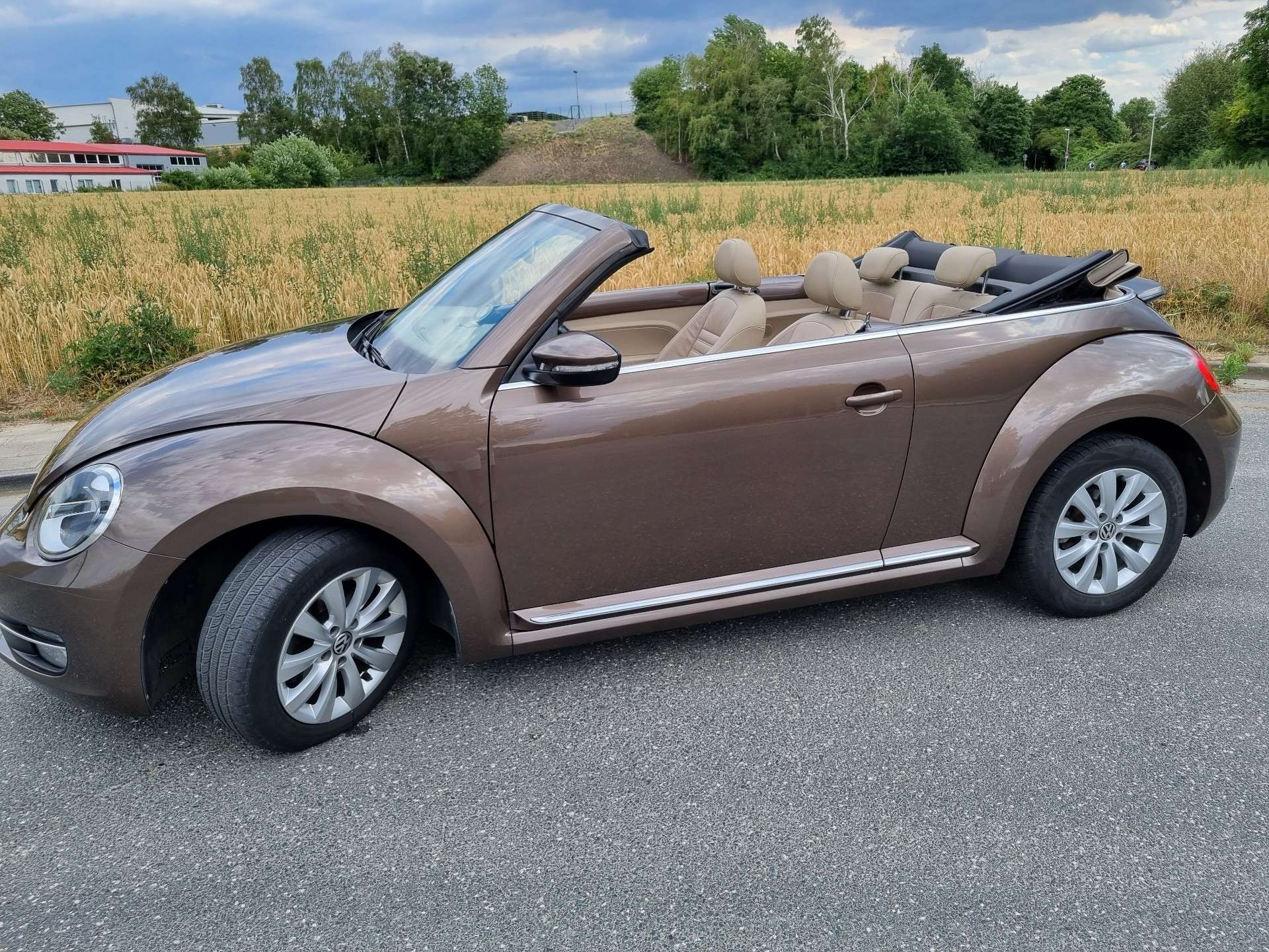 Coche VOLKSWAGEN Beetle Diésel 2014 - 46279